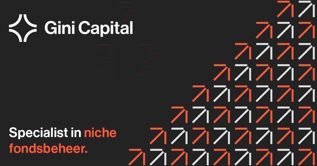 Investeer in de toekomst van het internet met het Digital Future Fund ...